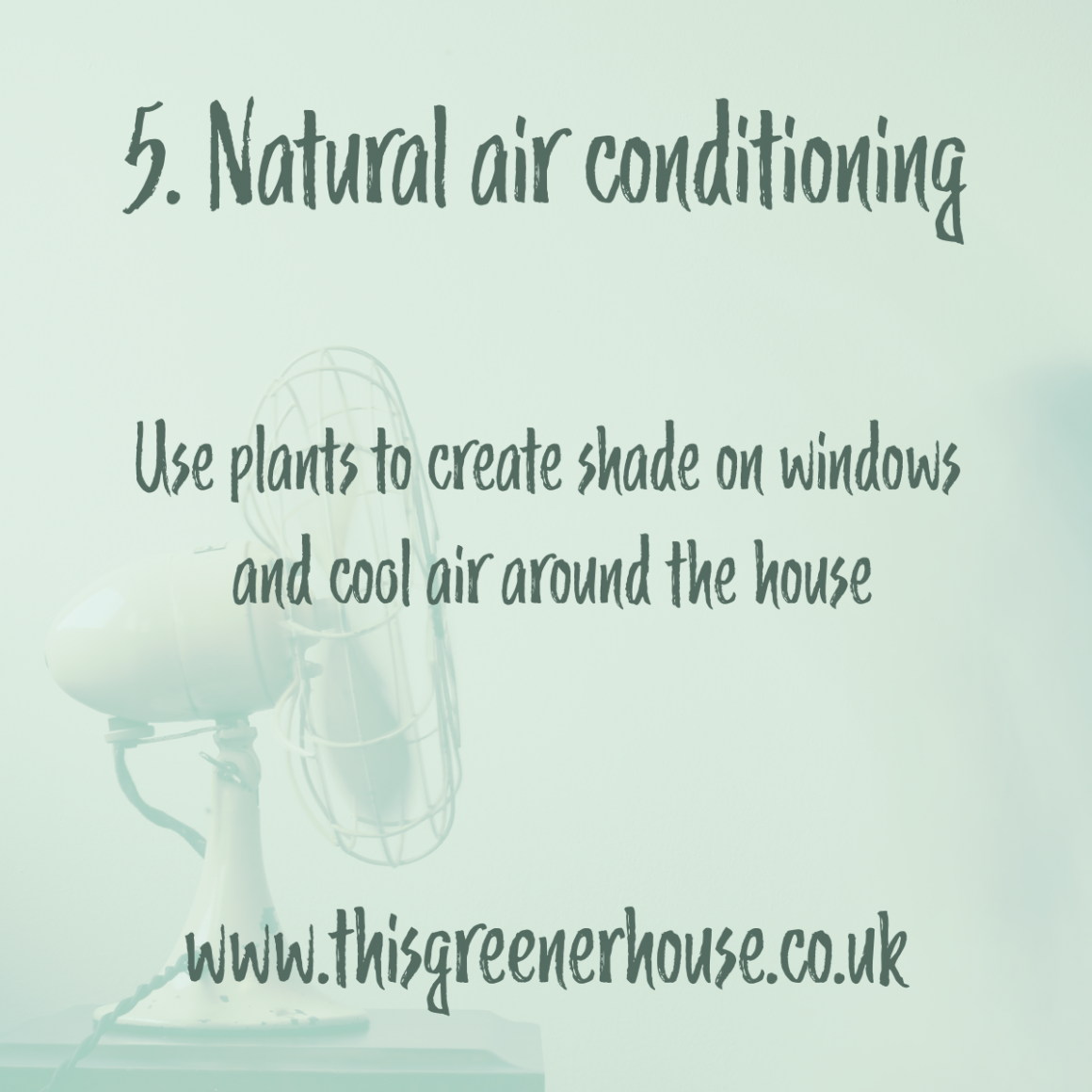 Top five eco ways to keep cool - This Greener House