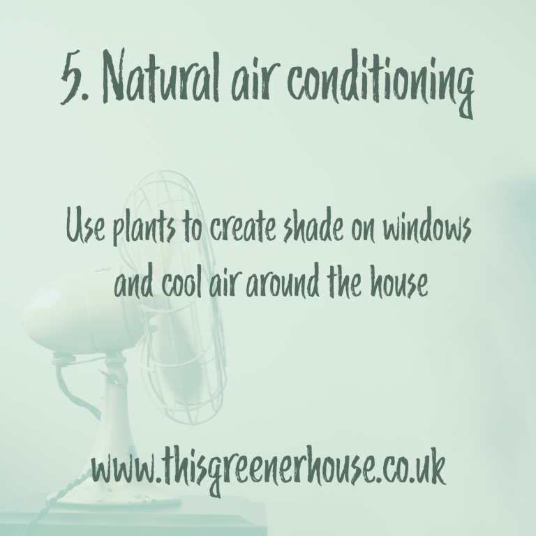 Top five eco ways to keep cool - This Greener House