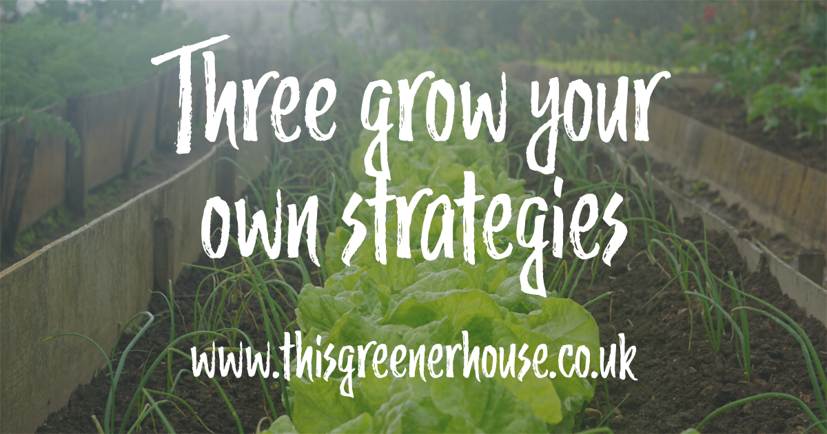 Three grow your own strategies - This Greener House