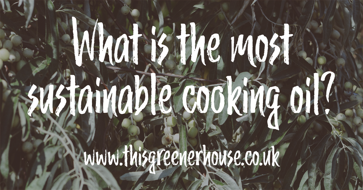 What is the most sustainable cooking oil? - This Greener House